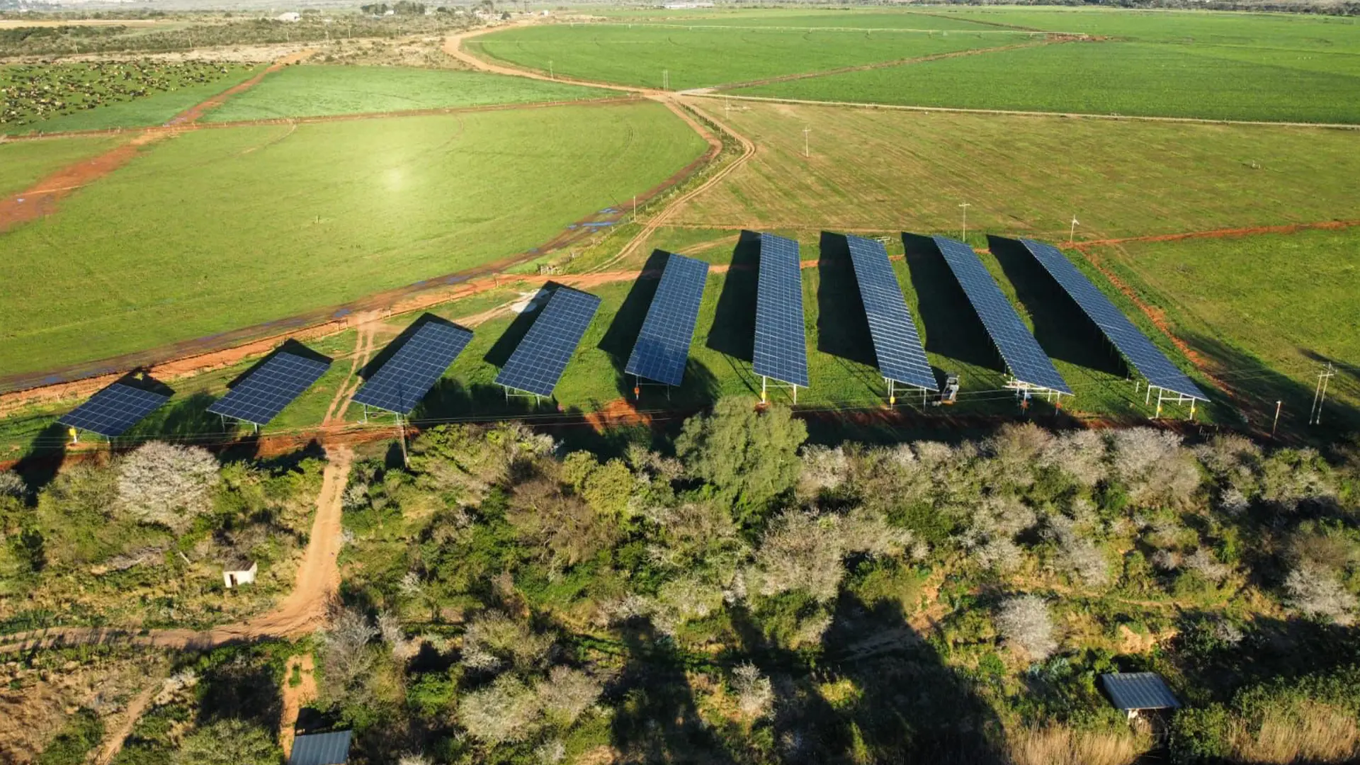Irrico Irrigation Solutions | Turnkey Irrigation Services, Eastern Cape