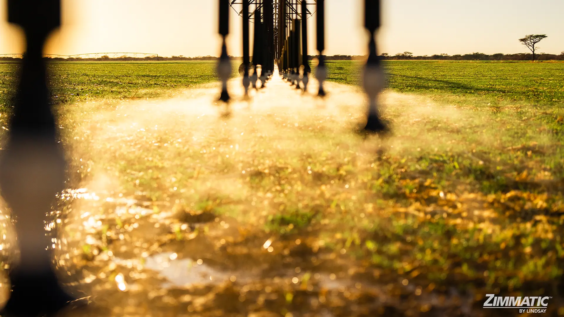 Irrico - Agronomy support | Turnkey Irrigation Services, Eastern Cape
