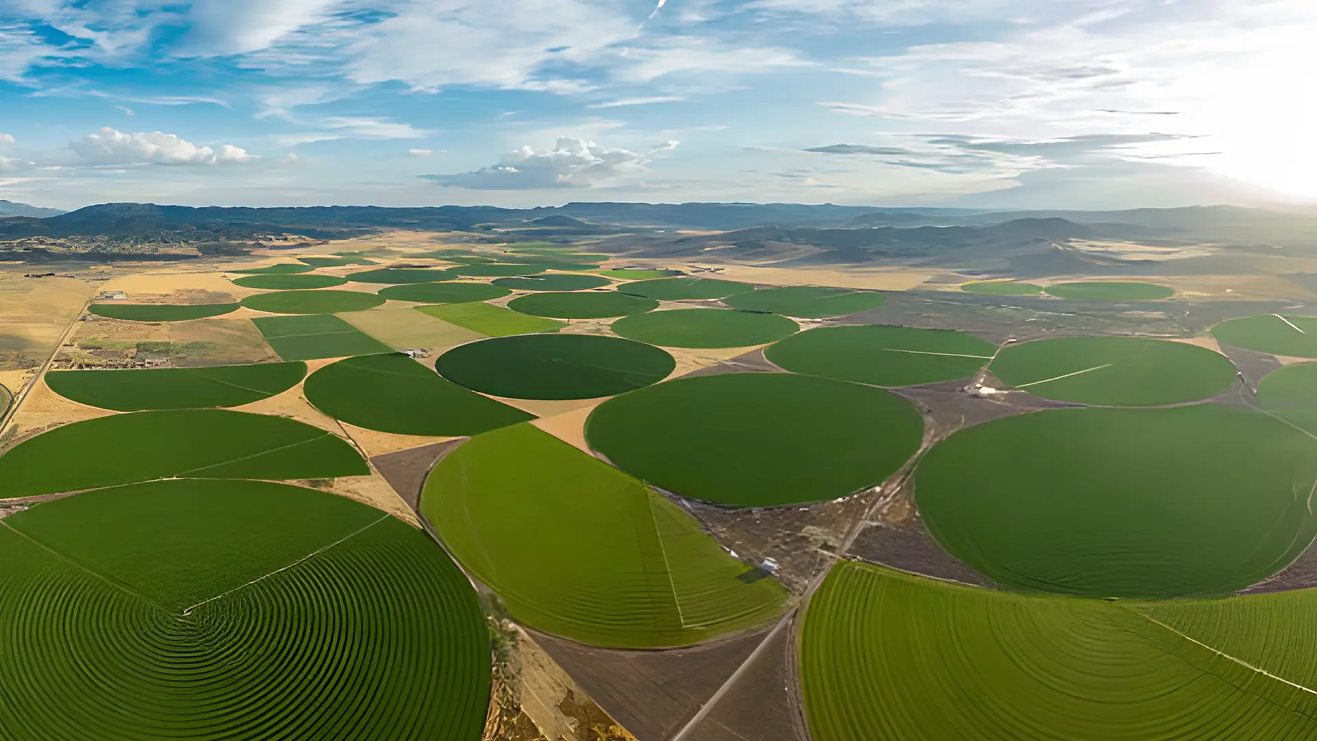 Irrico - Irrigation System Evaluation | Turnkey Irrigation Services ...